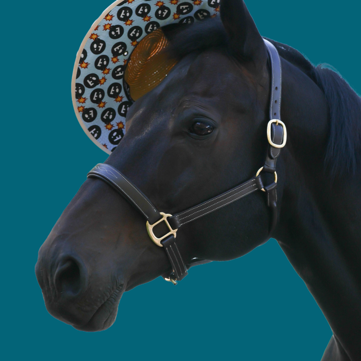 Dreamers & Schemers New Arrivals | Equestrian Gift Central – dreamers ...