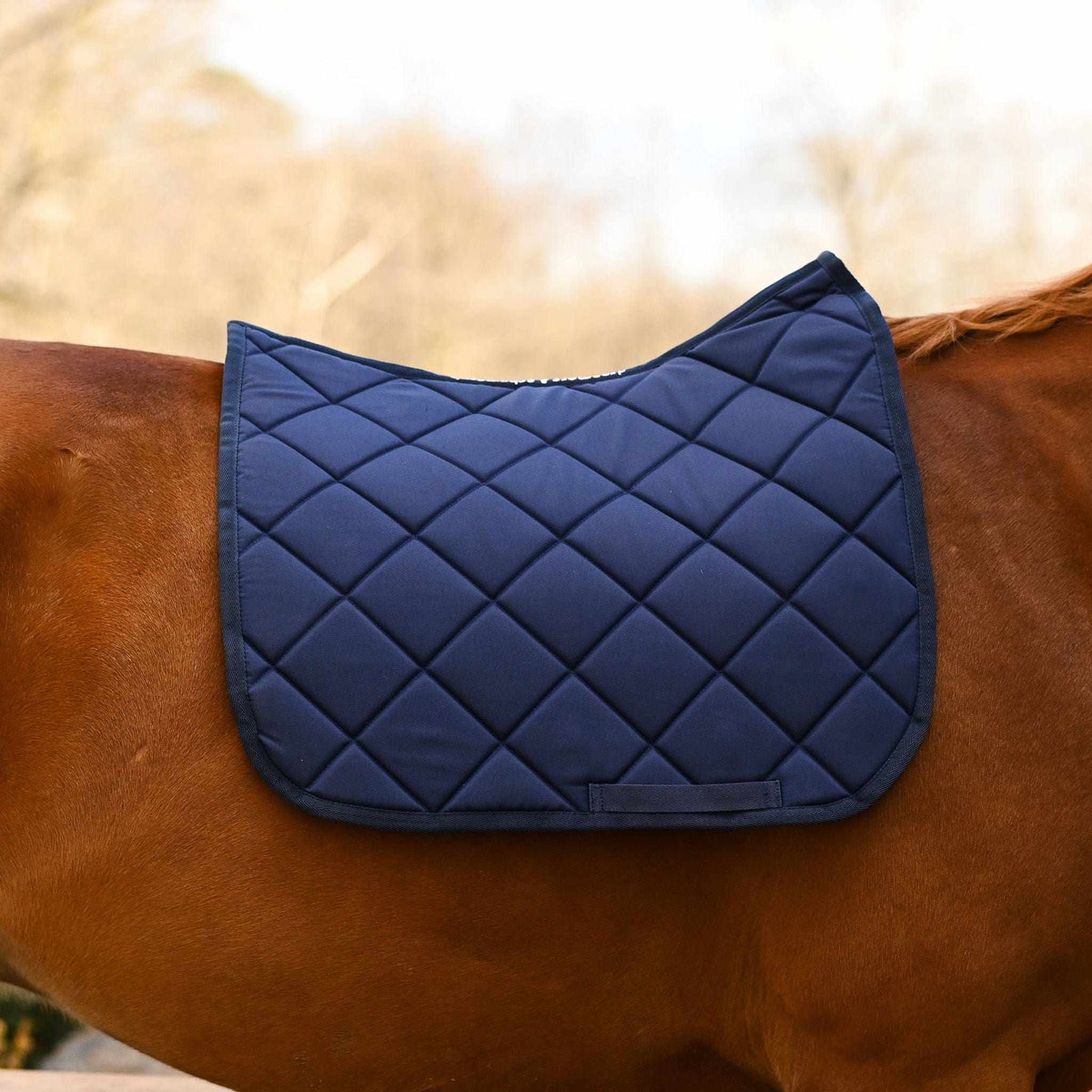 Navy Blue Saddle Pad – dreamers & schemers